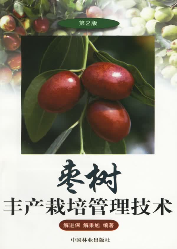枣树丰产栽培管理技术