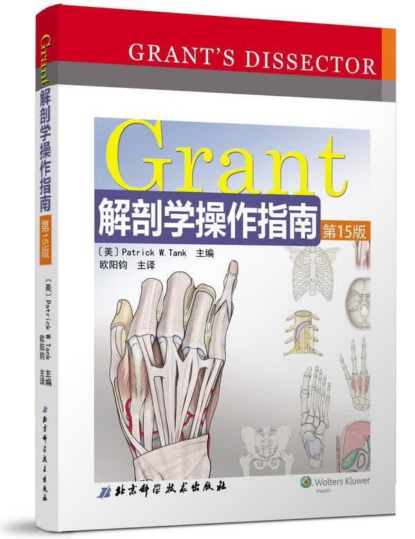 解剖学 操作指南