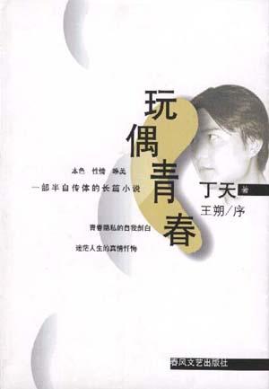 玩偶青春 丁天【书】