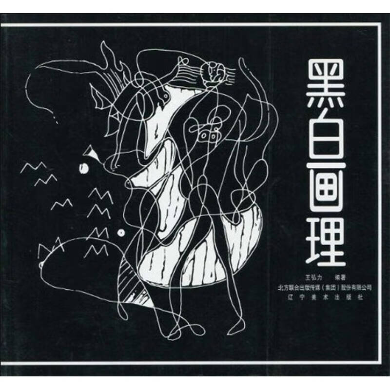 黑白画理9787531408758【好书】