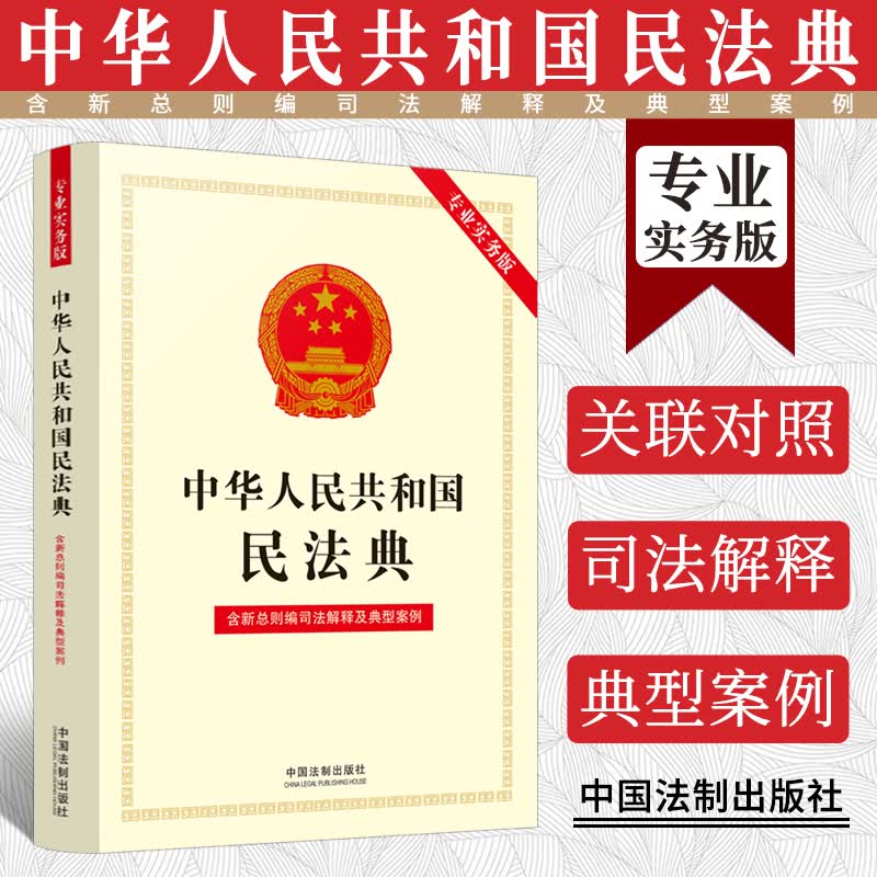2022新书 中华人民共和国民法典 专业实务版 含新总则编司法解释及典型案例 中国法制出版社 9787521624298
