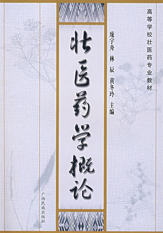 壮医药学概论 庞宇舟,林辰,黄冬玲主编