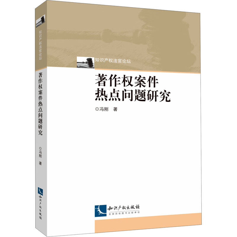 著作权案件热点问题研究 图书