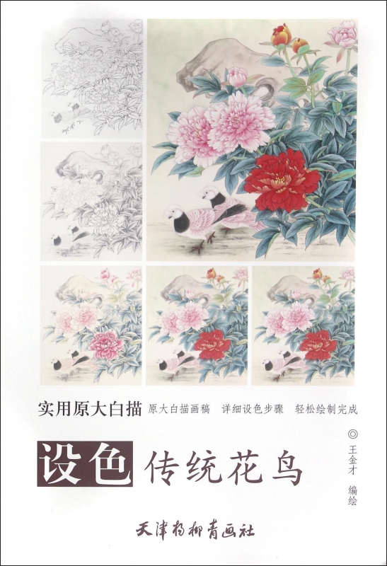 设色传统花鸟(实用原大白描)