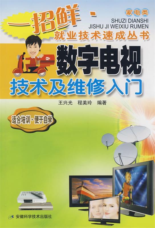 数字电视技术及维修入门 王兴光,程美玲编著【书】