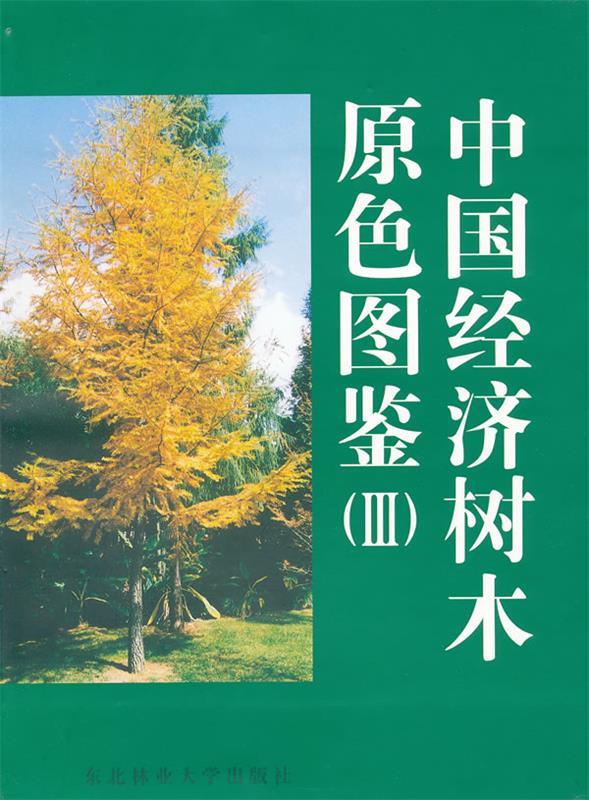 中国经济树木原色图鉴 【书】