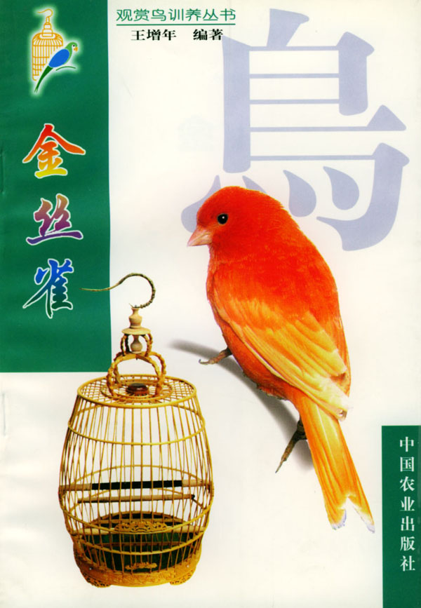 金丝雀【现货】