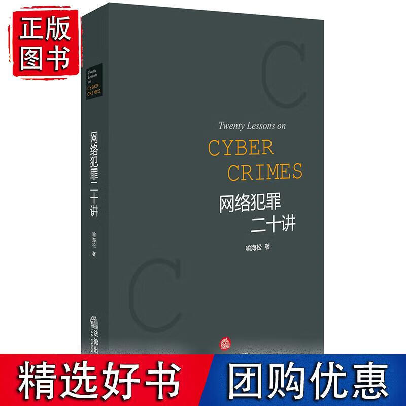 网络犯罪二十讲 法律出版社