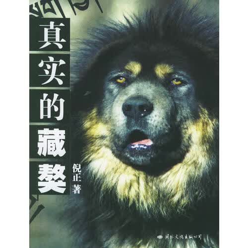 真实的藏獒【好书】