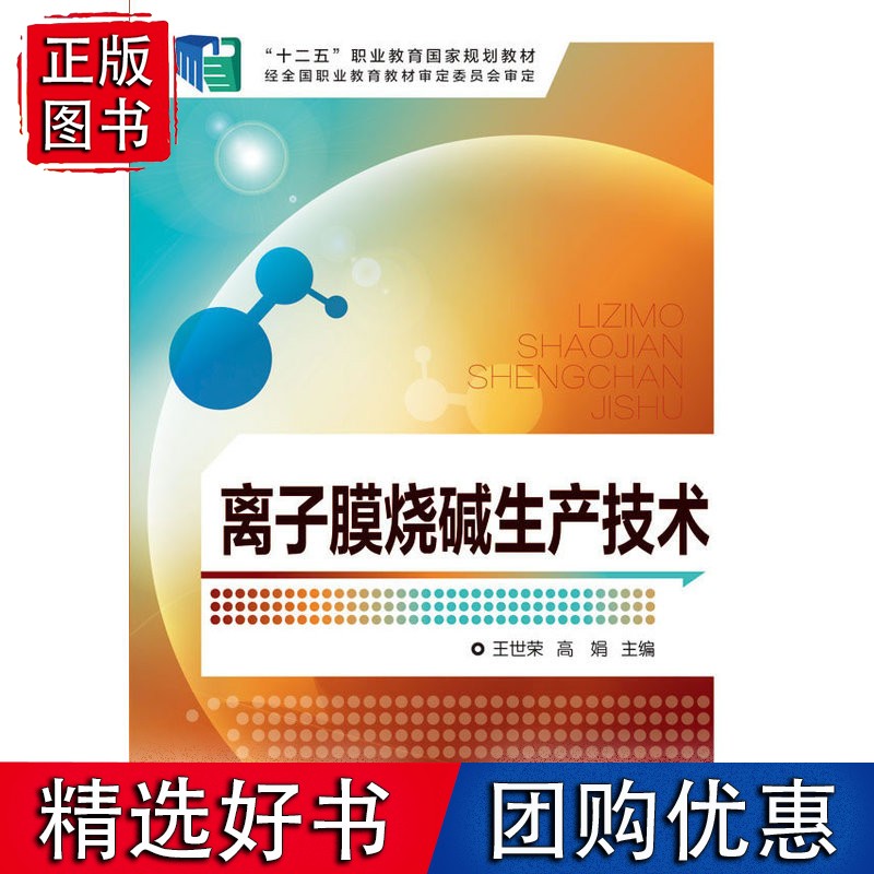 离子膜烧碱生产技术(世荣)