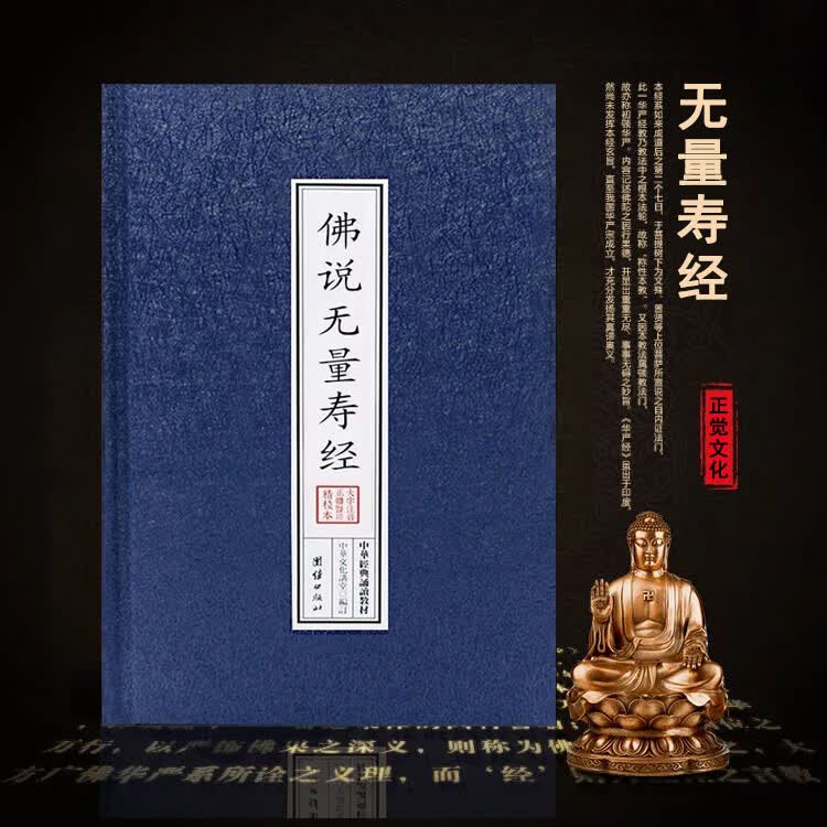 佛说无量寿经精装注音版曹魏康僧凯译无量寿经简体拼音佛经书结缘