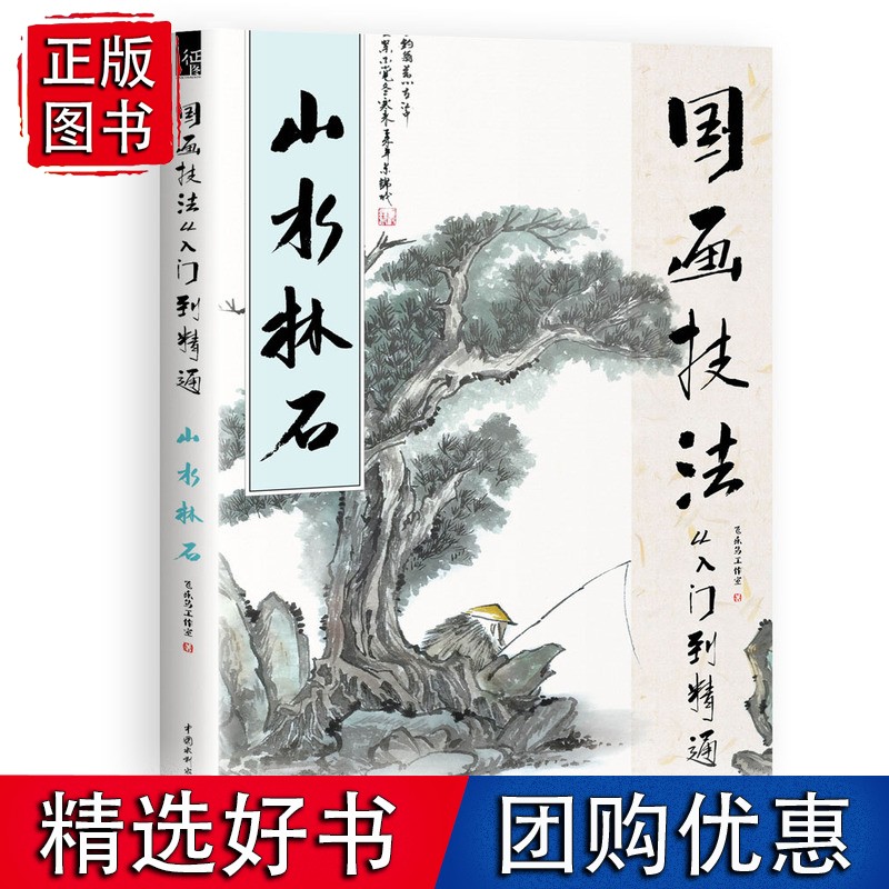 国画技法从入门到精通 山水林石