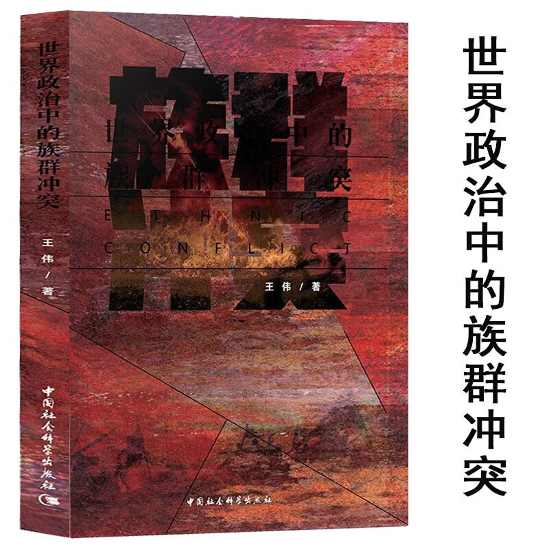 【官方旗舰店】俄乌冲突对欧洲影响研究 俄罗斯乌克兰局势 国际战略与安全形势评估：阿富汗系列书 好望角 塔利班 俄乌冲突书籍 世界政治中的族群冲突