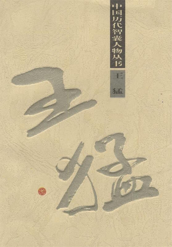 王猛 江永红 著