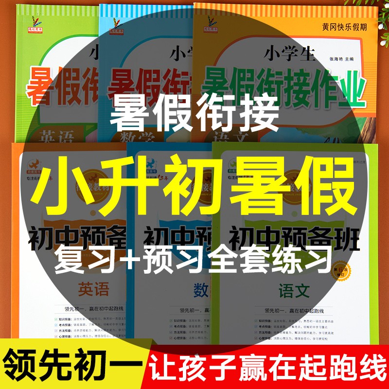 2023小升初暑假衔接教材初中预备班小学六年级下册暑假作业语文数学英语小升初系统总复习人教版必小学升初中六升七初一预习书刷题资料 【小升初6本全】小升初暑假衔接+初一预习衔接