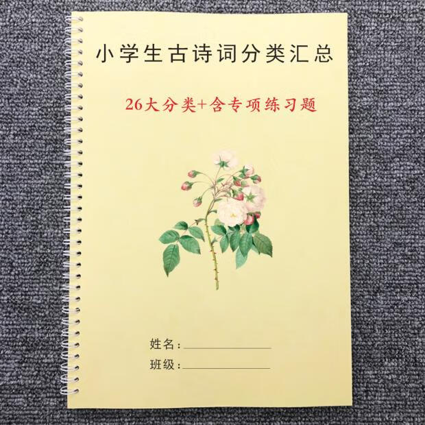 小学生语文小升初古诗词分类汇总积累归纳总结练习本 拉杆 322古诗分类49页