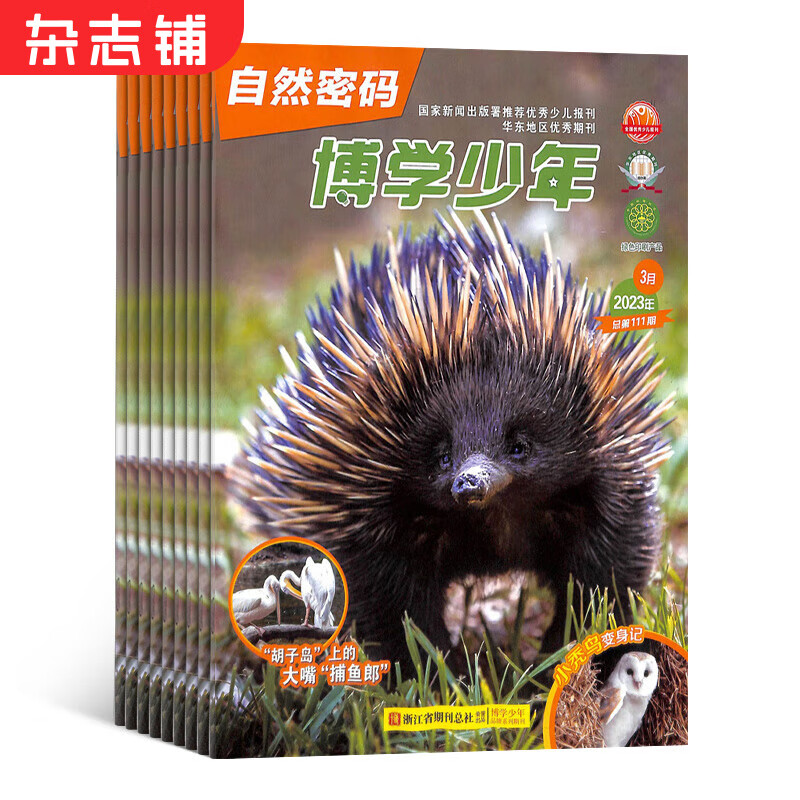 博学少年自然密码 全年12期杂志订阅 科普杂志 2023年10月起订 杂志铺