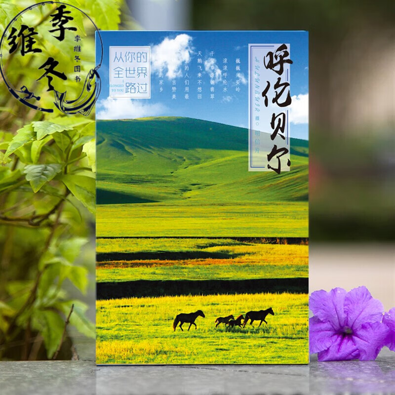 中国城市明信片风景创意文艺旅游纪念礼物大理杭苏州贵州 呼伦贝尔