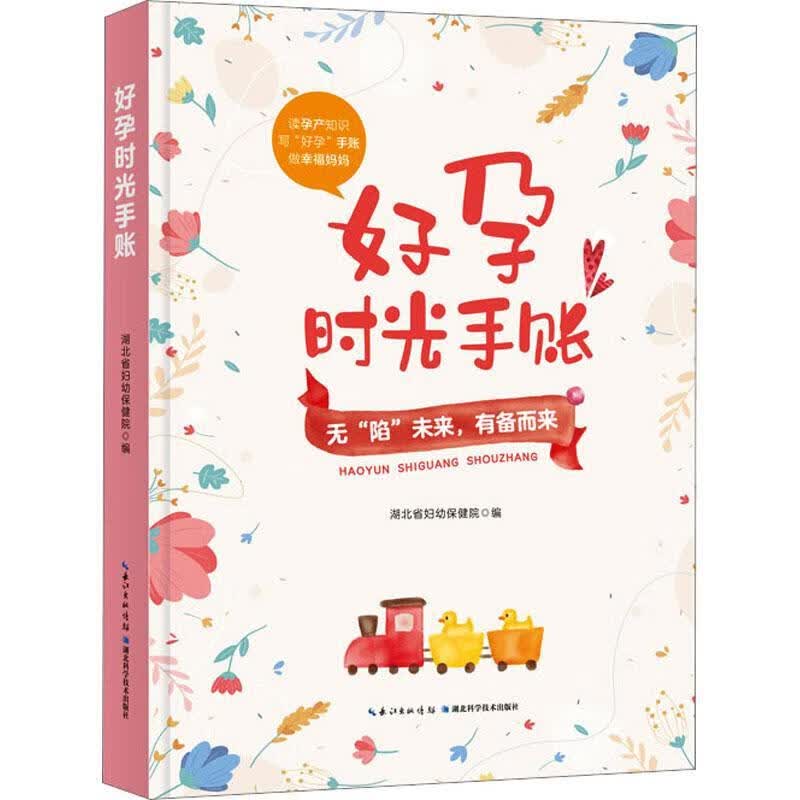 现货 好孕时光手账9787535287908 湖北科学技术出版社