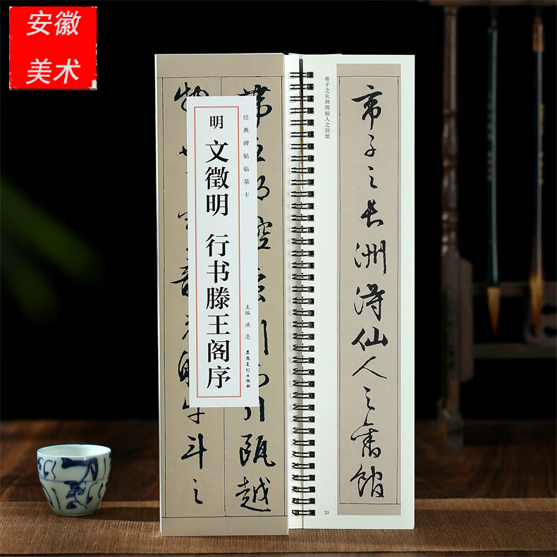 明文徵明行书滕王阁序 经典碑帖临摹卡近距离临摹字卡临帖卡文征明行书毛笔书法字帖