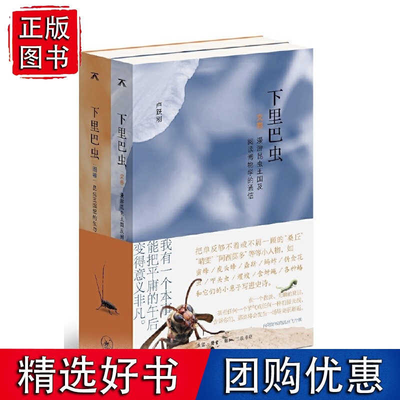 下里巴虫：昆虫国