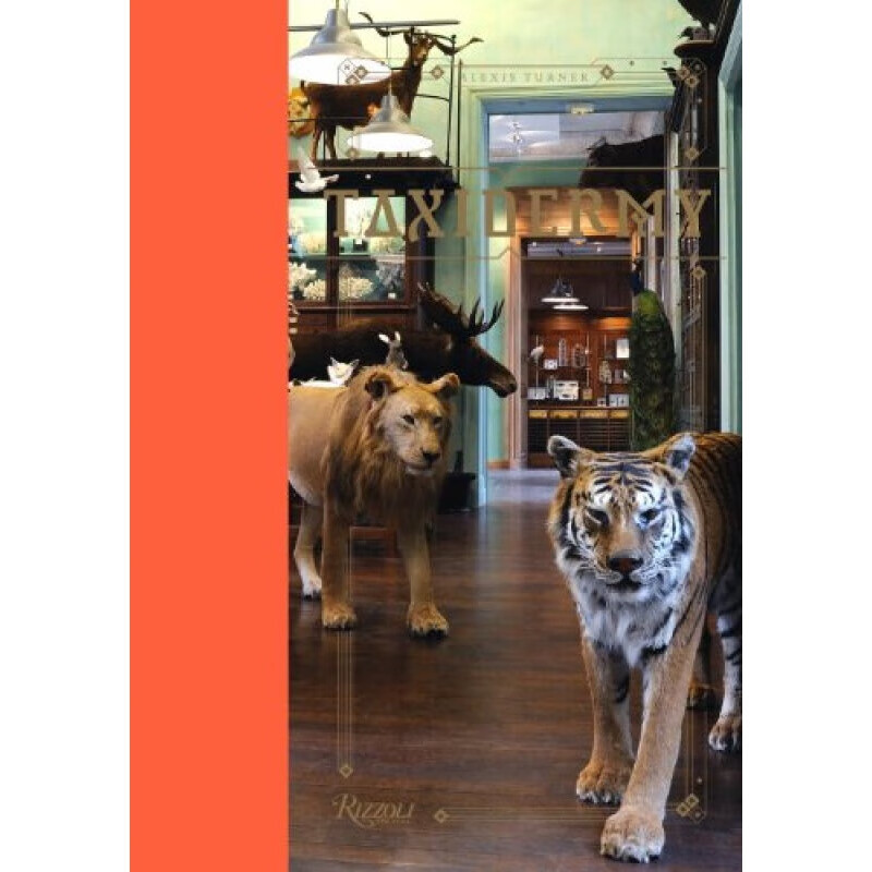 Taxidermy 英文原版
