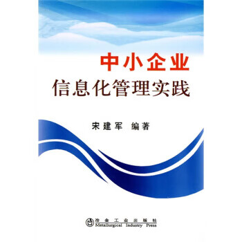 中小企业信息化管理实践【好书，下单速发】