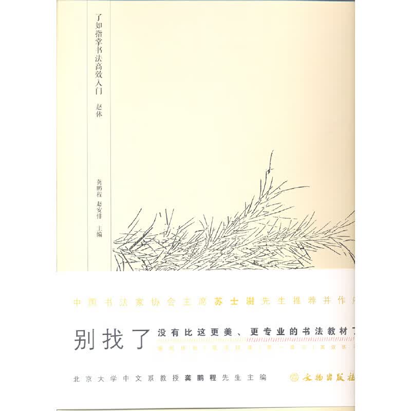 了如指掌书法高效入门：赵体