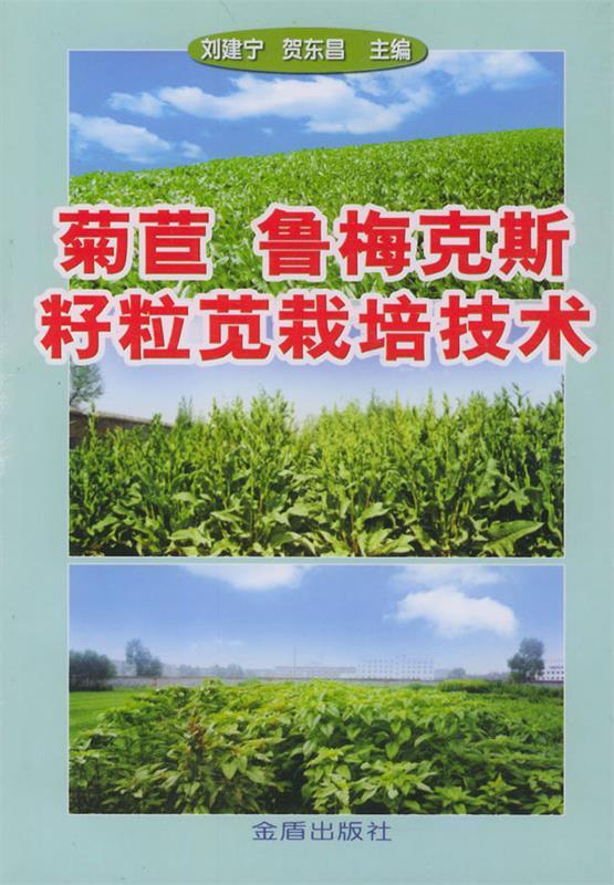 菊苣 鲁梅克斯 籽粒苋栽培技术