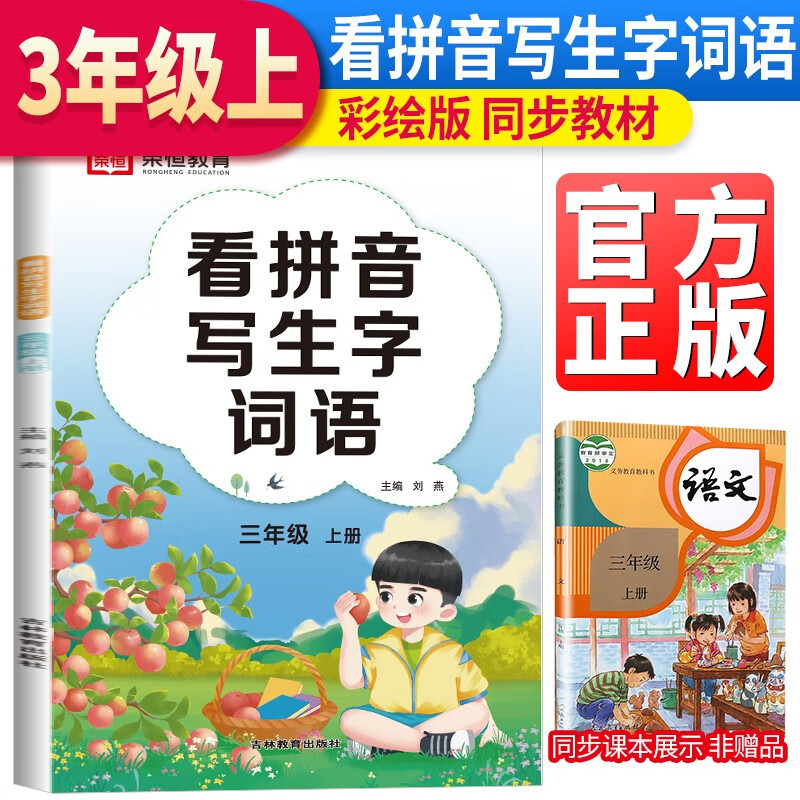 2023新版看拼音写生字词语三年级上册语文数同步练字帖 小学三年级上册看拼音写生字词语练字帖生字注音语文课本同步专项训练写字课课练