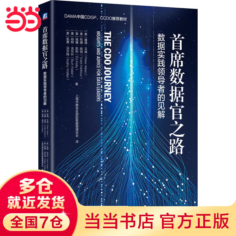 首席数据官之路 数据实践领导者的见解
