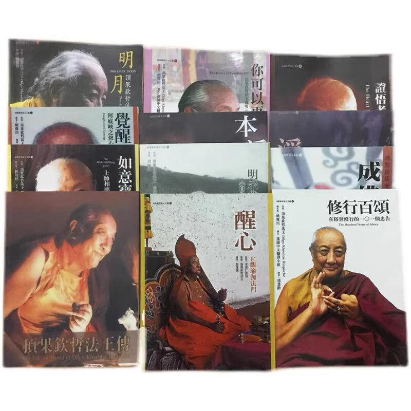 系列顶果钦哲仁波切像画像顶果钦哲上师全12