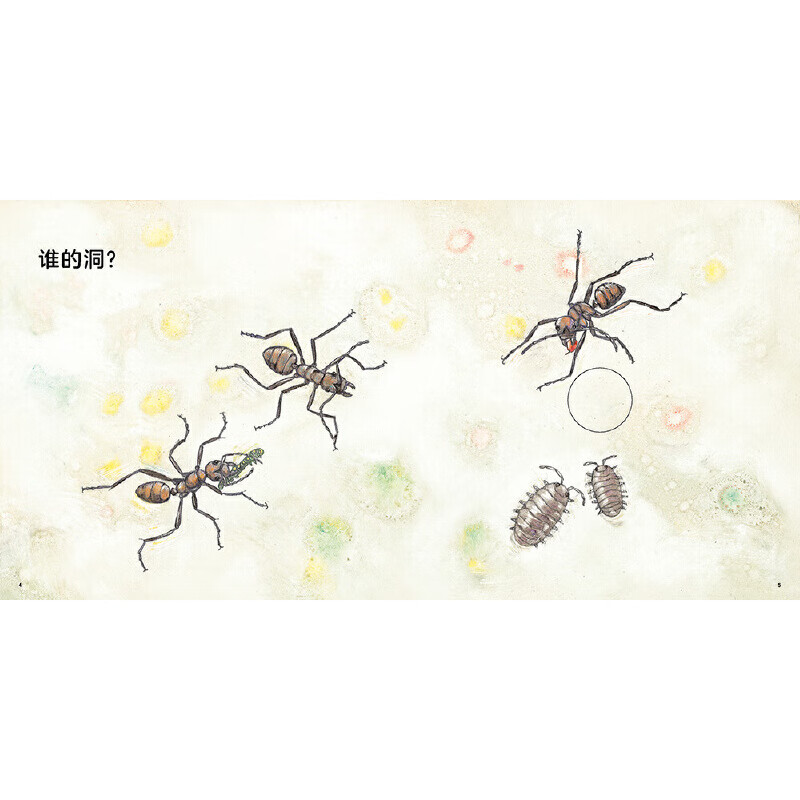 洞：松冈达英低幼绘本，《蹦》《哇》同类作品