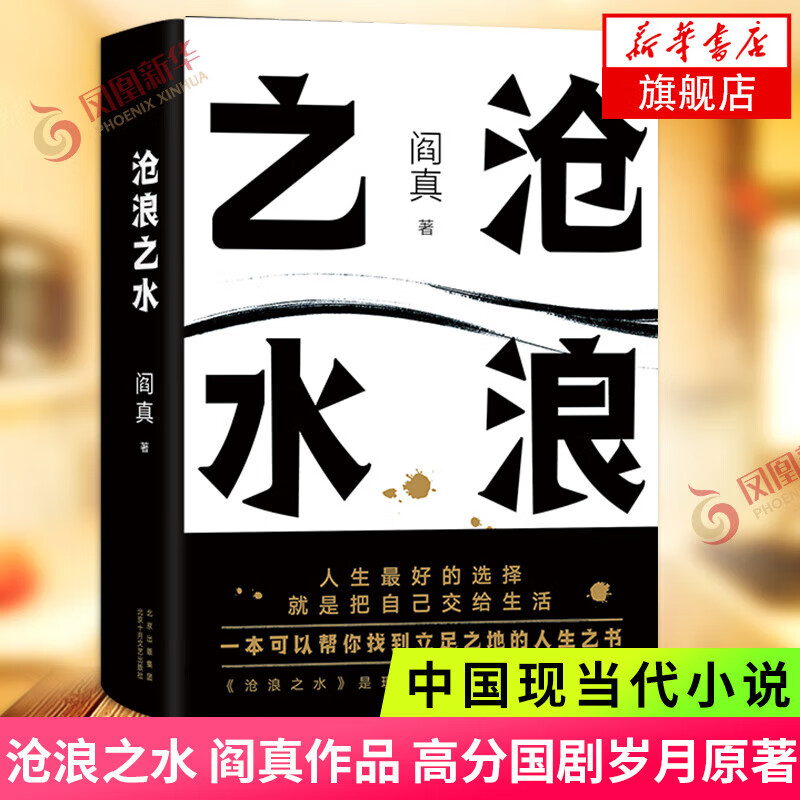 如何是好 阎真 真实的背后是动人的真情实感 现当代文学 湖南文艺出版社书籍凤凰旗舰店 沧浪之水【定价49】