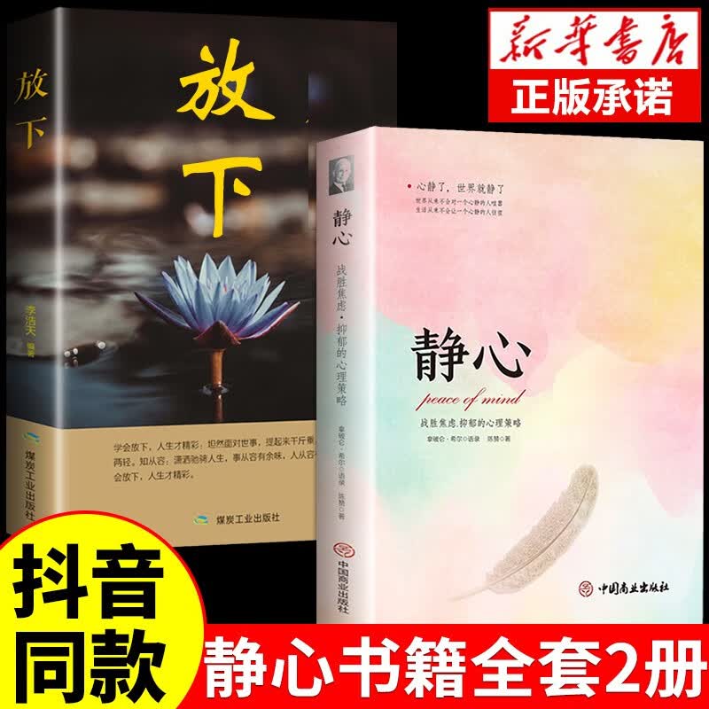 静心-战胜焦虑抑郁的心理策略书籍 心灵励志静心书籍积极心理学情绪控制书籍心理健康心理疏导书 【抖音推荐】放下+静心