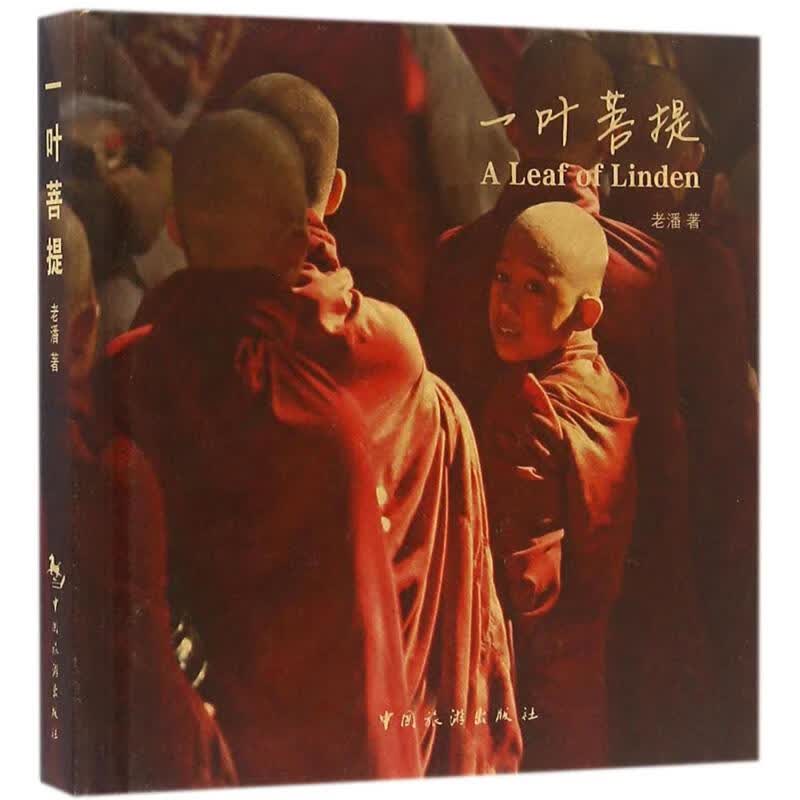 一叶菩提 老潘 著 摄影/摄影技法