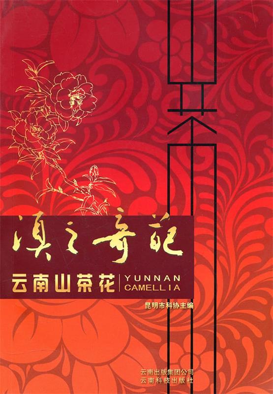 滇之奇葩：云南山茶花