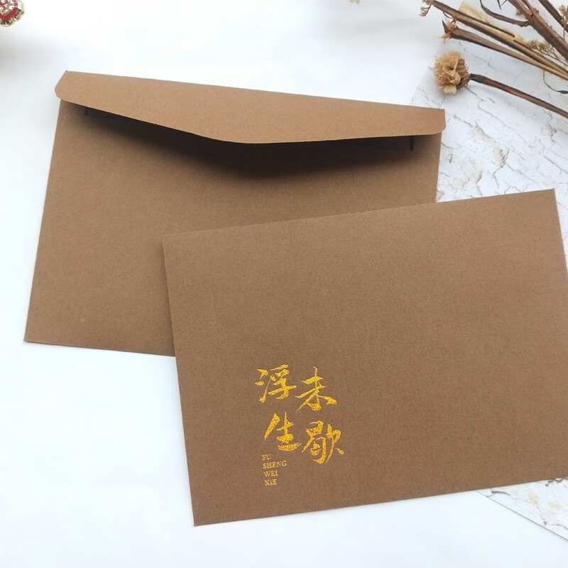 向阳而生烫金信封 西式纯色简约文艺复古学生贺卡明信片收纳信封 浮生未歇信封5个