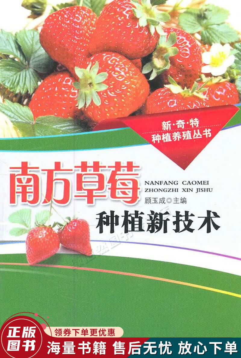 南方草莓种植新技术