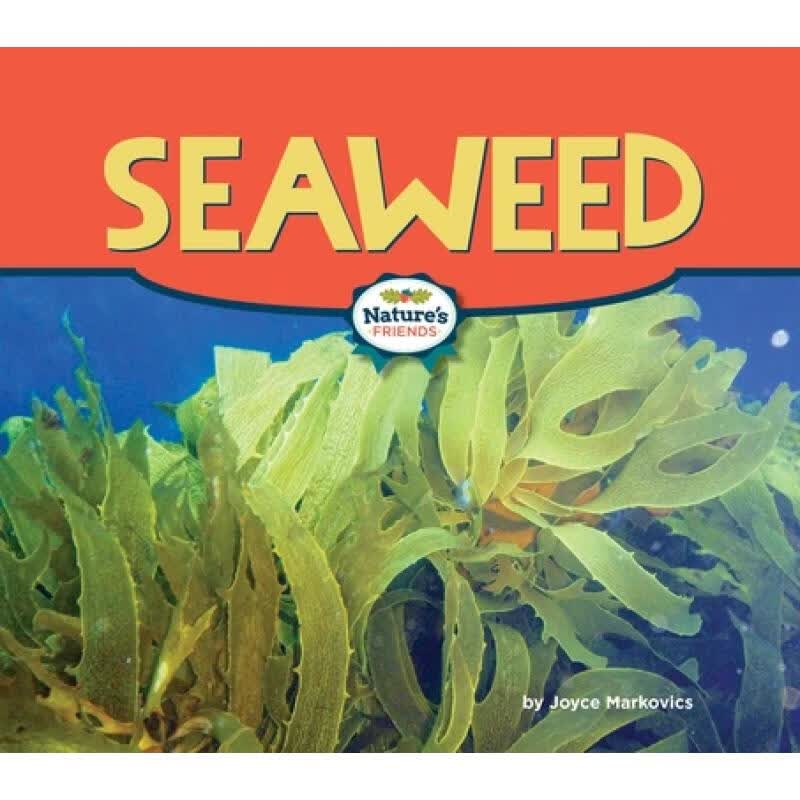 seaweed-千图网