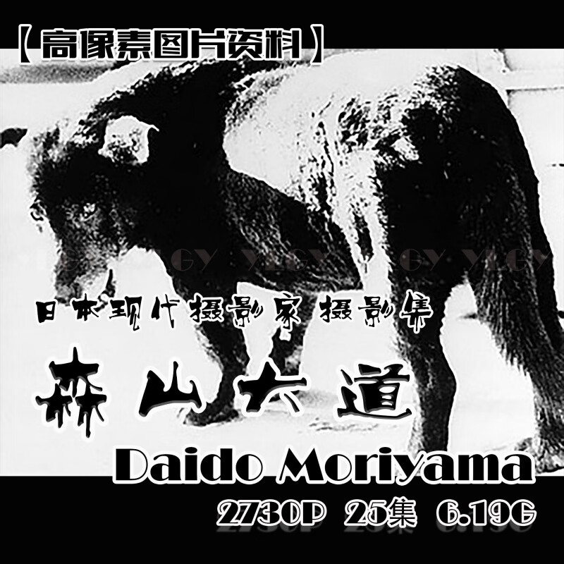 (194)森山大道日本现代摄影家分类摄影集 2730P6.19G