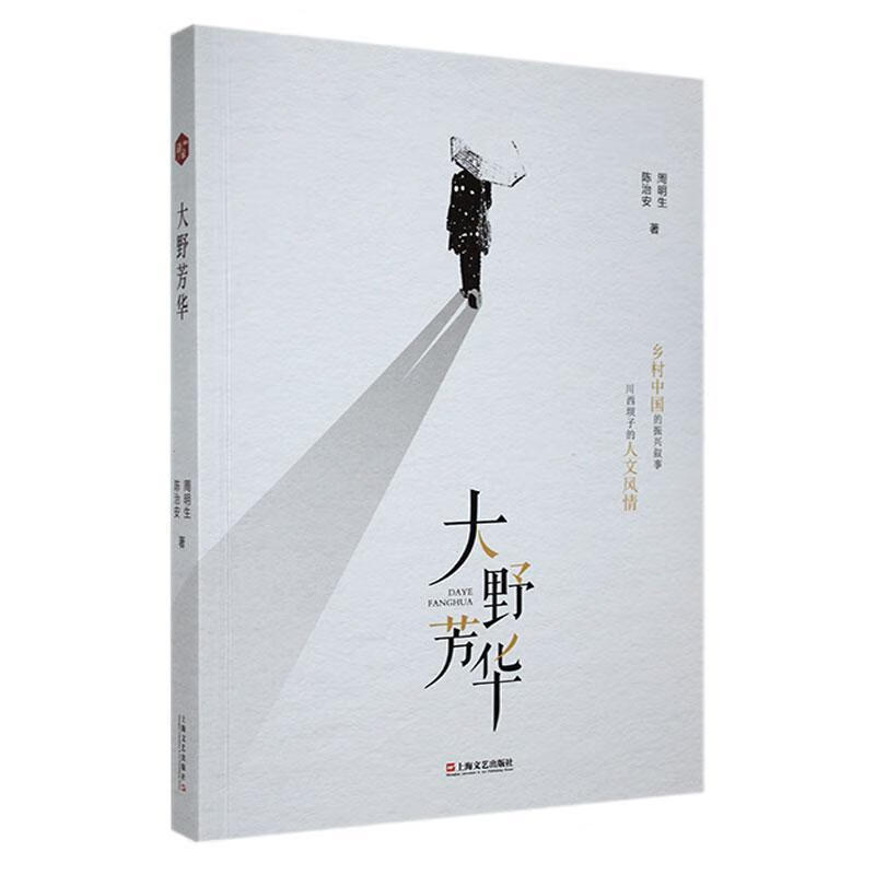 大野芳华小说  图书