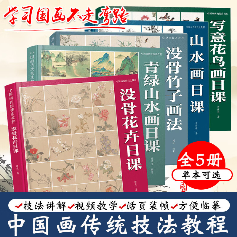 【单本可选】中国画传统技法教程全套5册 没骨花卉/没骨竹子画法/山水画/青绿山水画/写意花鸟画日课国画初学 没骨花卉日课