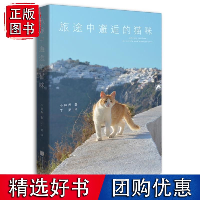 旅途中邂逅的猫咪