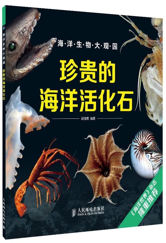 珍贵的海洋活化石【，放心购买】