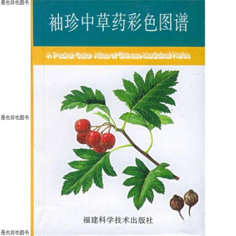 袖珍中草*彩色图谱