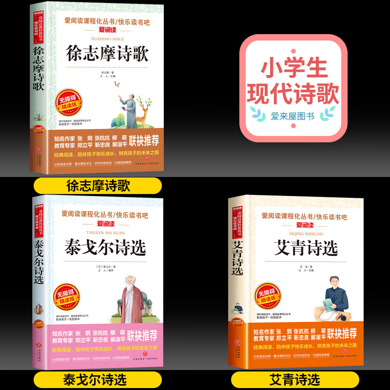 现代诗歌精选全套4册 繁星春水冰心艾青诗选泰戈尔诗选徐志摩原著诗全集四年级阅读课外书老师小学生现代 【3本】徐志摩+泰戈尔+艾青