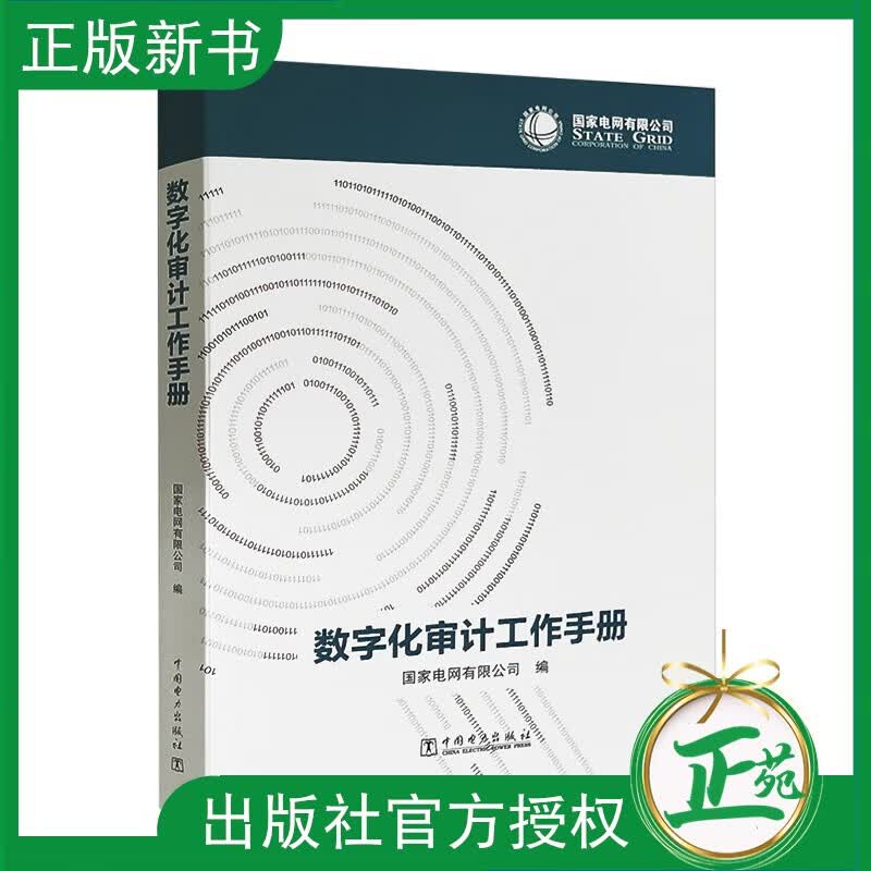 【2023新书】数字化审计工作手册 数字化审计平台数据工具路径场景技术 数字化审计作业流程实施模式 数字化审计组织项目平台保障