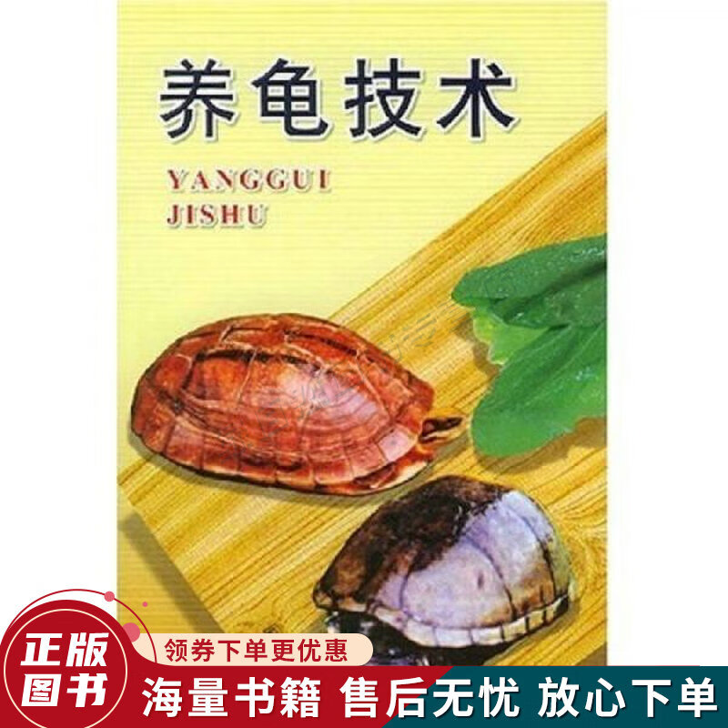 养龟技术
