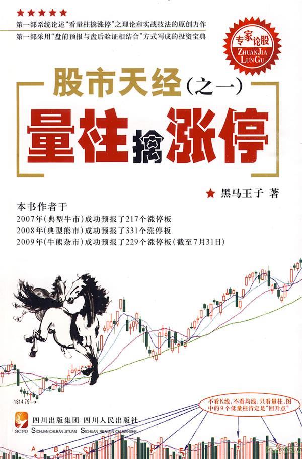 股市天经 黑马王子【书】